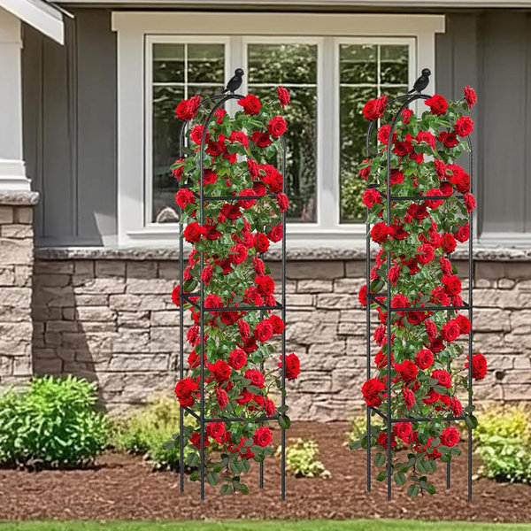 Winston Porter Garden Obelisk Trellis for Climbing Plants Outdoor, 5.5 ...