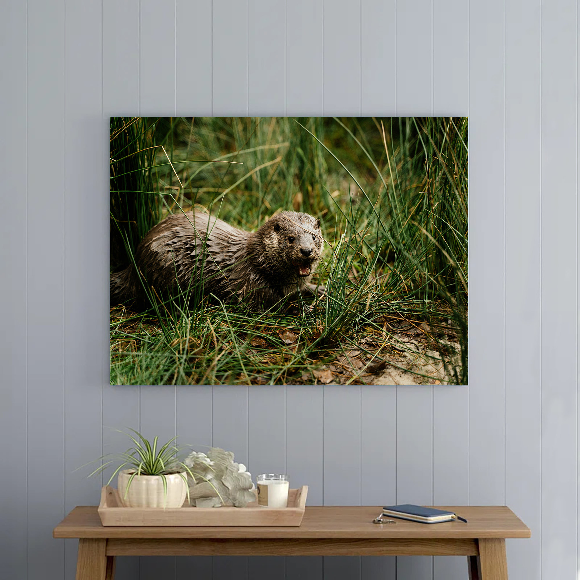 Latitude Run® Nutria is Squeaking on Grass | Wayfair