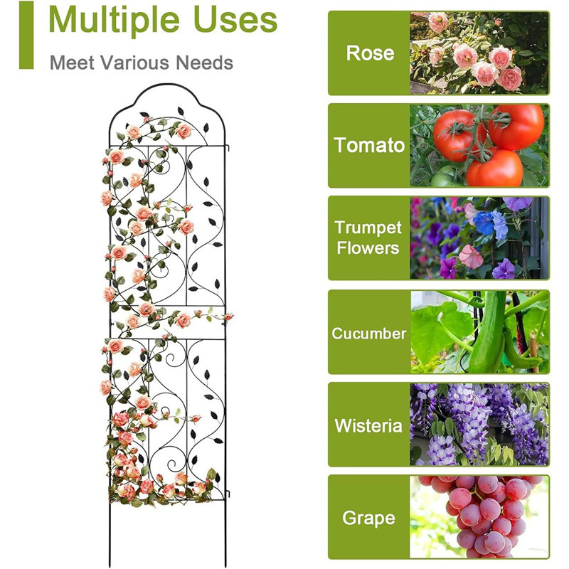 Red Barrel Studio® Metal Garden Trellis 4-Packs For Climbing Plan ...