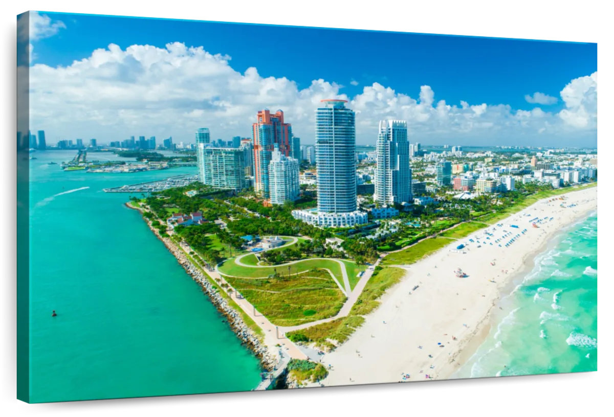 Ebern Designs Nicci Urban Miami Coast | Wayfair