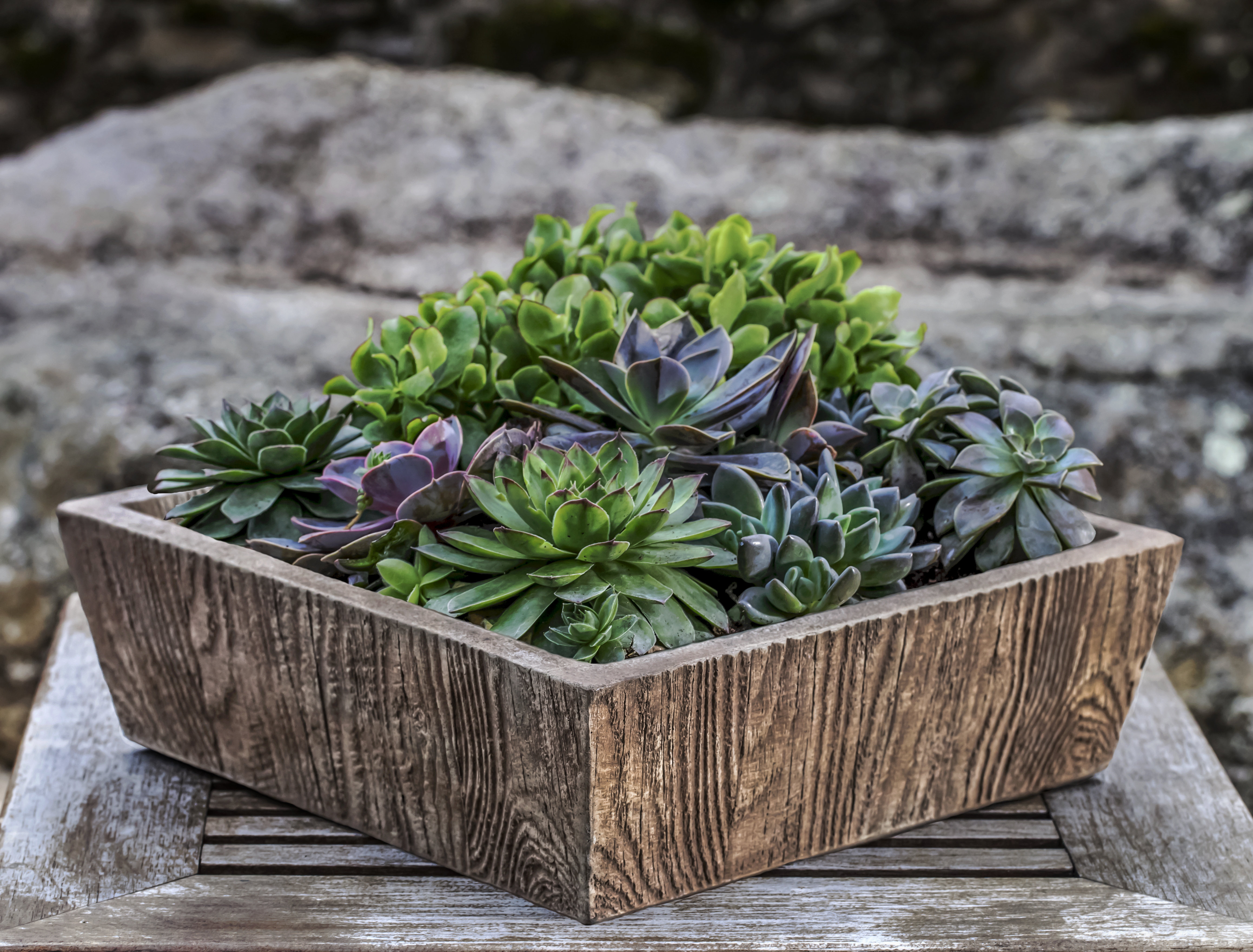 Campania International Barn Cast Stone Planter Box | Wayfair