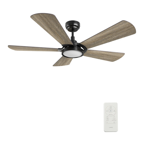 Hokku Designs Winston Smart Ceiling Fan with Remote, Light Kit Included ...