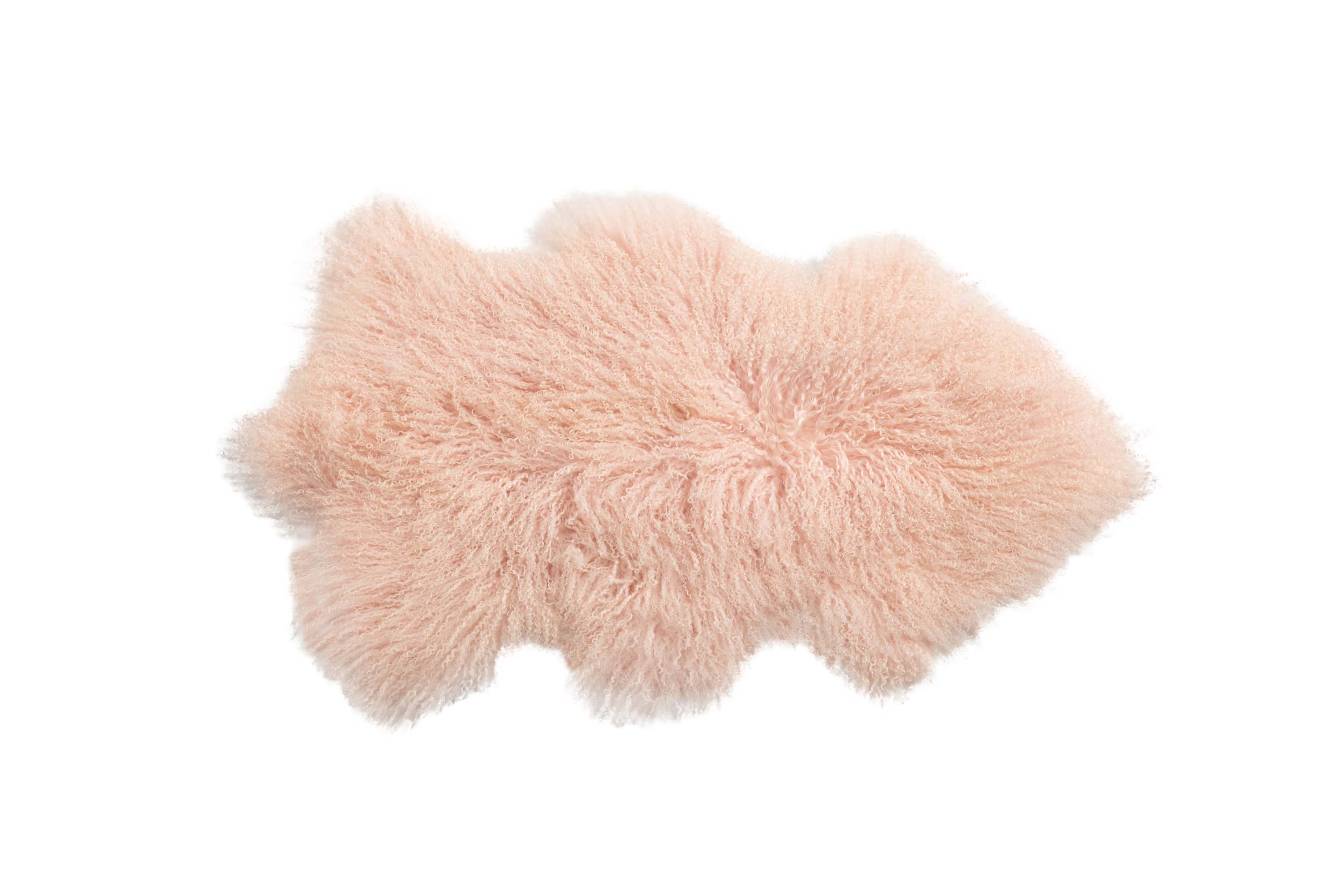 Mercer41 Single pelt Tibetan lamb rug | Wayfair