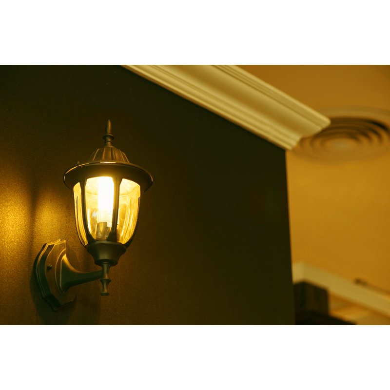 Miracle LED Outdoor Lighting invisible to BUGS | Wayfair