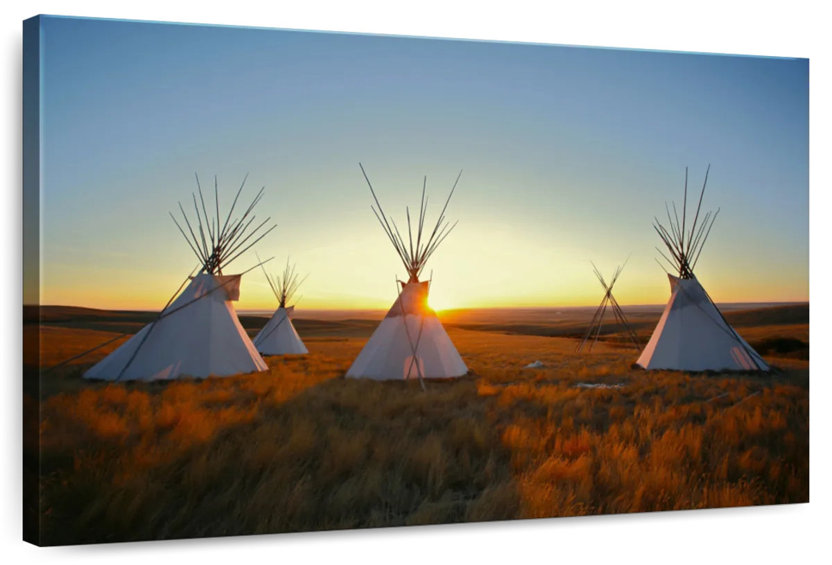Union Rustic Lelar American Indian Teepees - Wayfair Canada