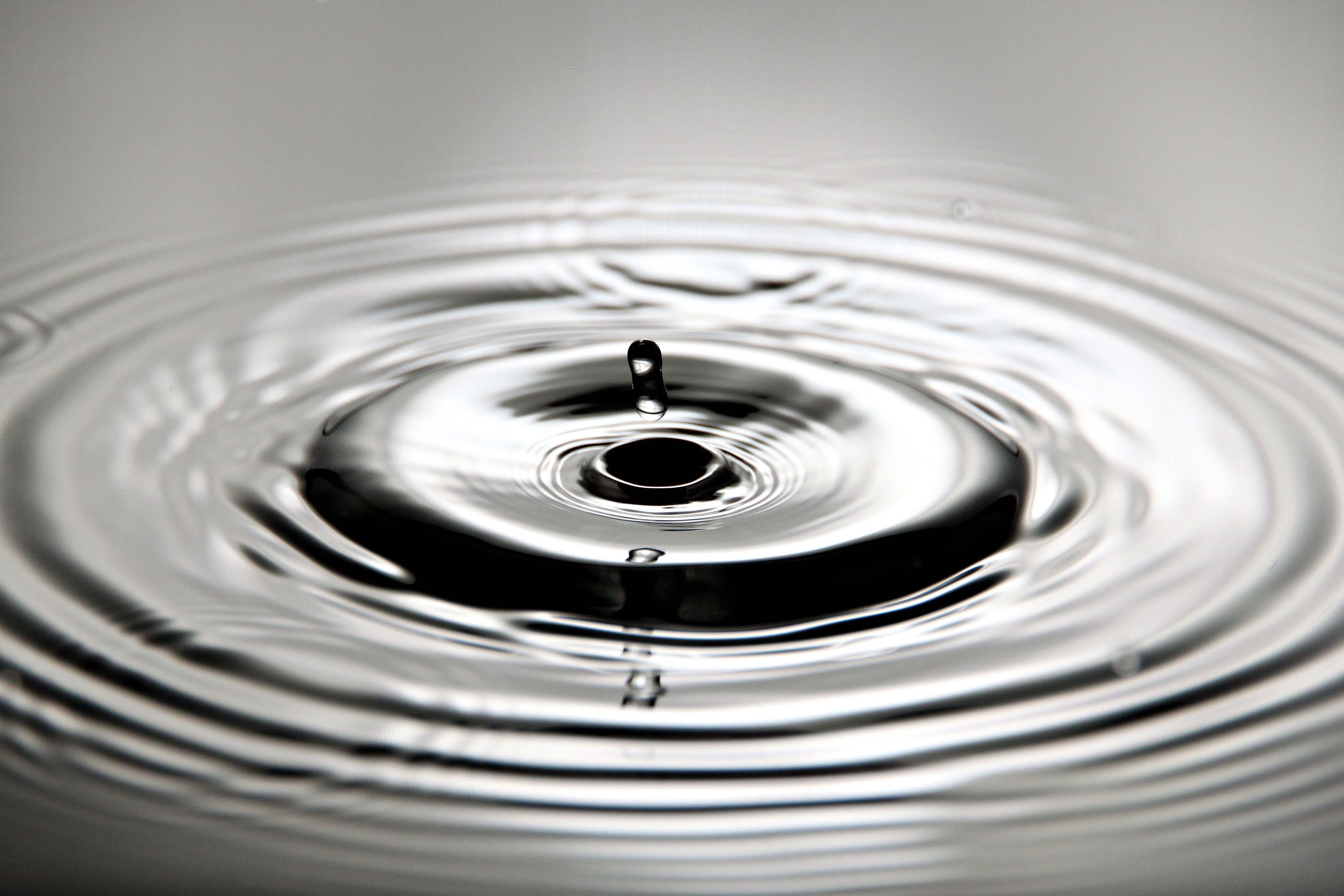 Rosecliff Heights Detavious Water Drops On Canvas Photograph | Wayfair