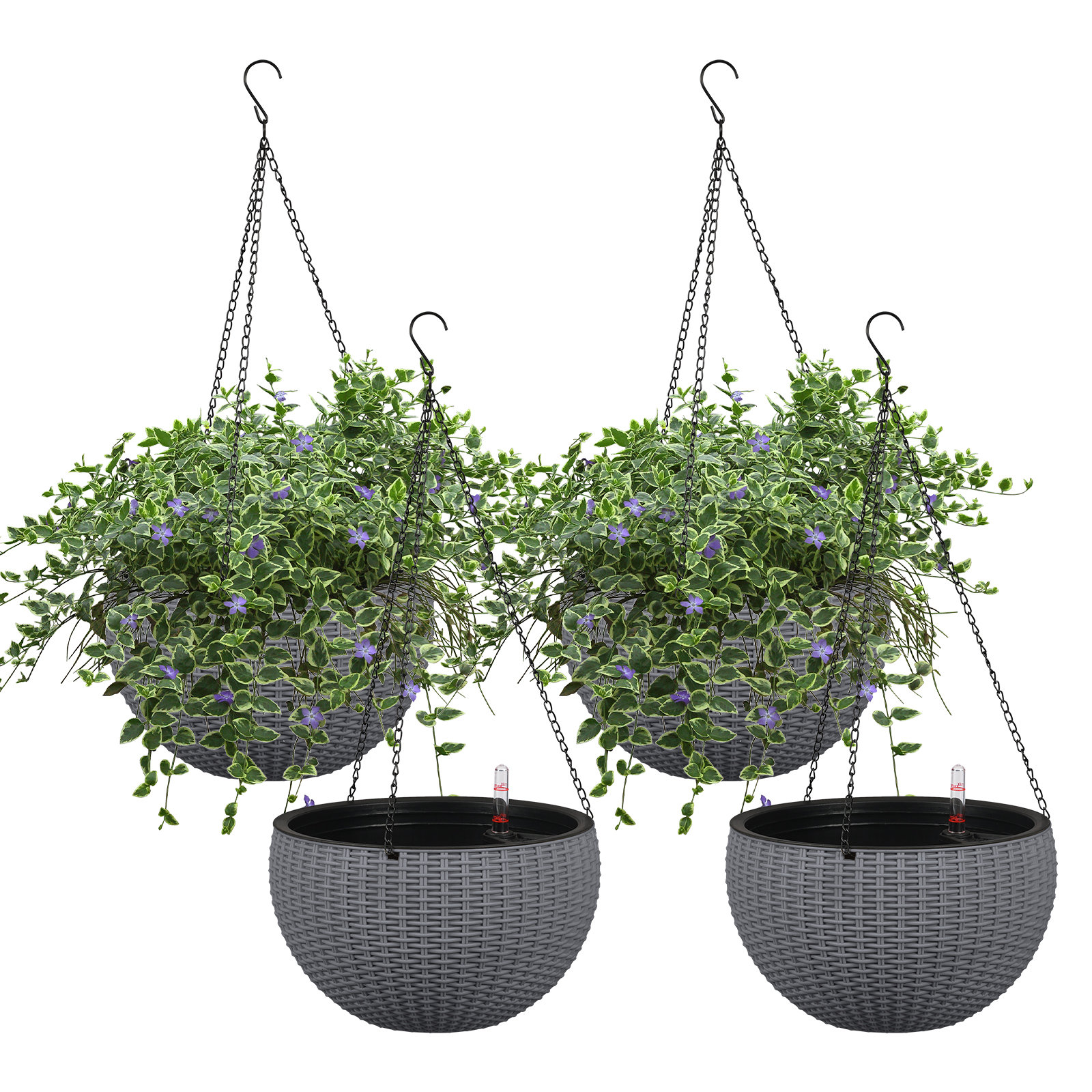 Ebern Designs Self-watering Plastic Wall Plante - Wayfair Canada
