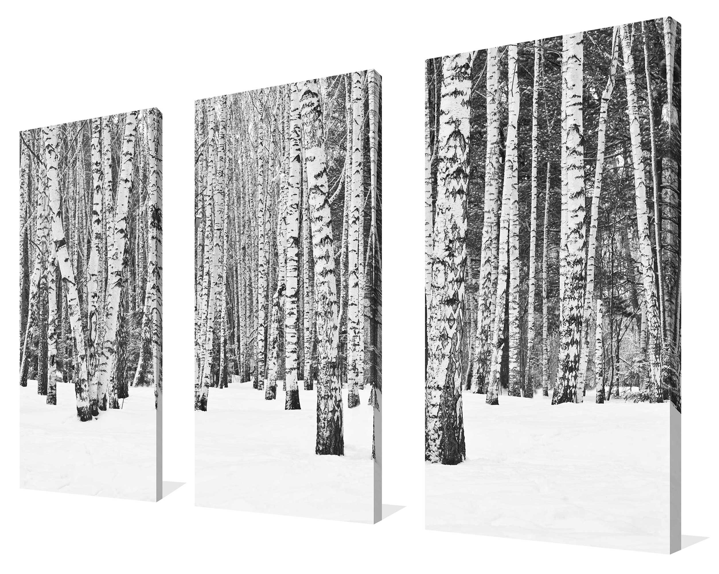 Corrigan Studio® Birch Trees in Winter - 3 Piece Wrapped Canvas ...