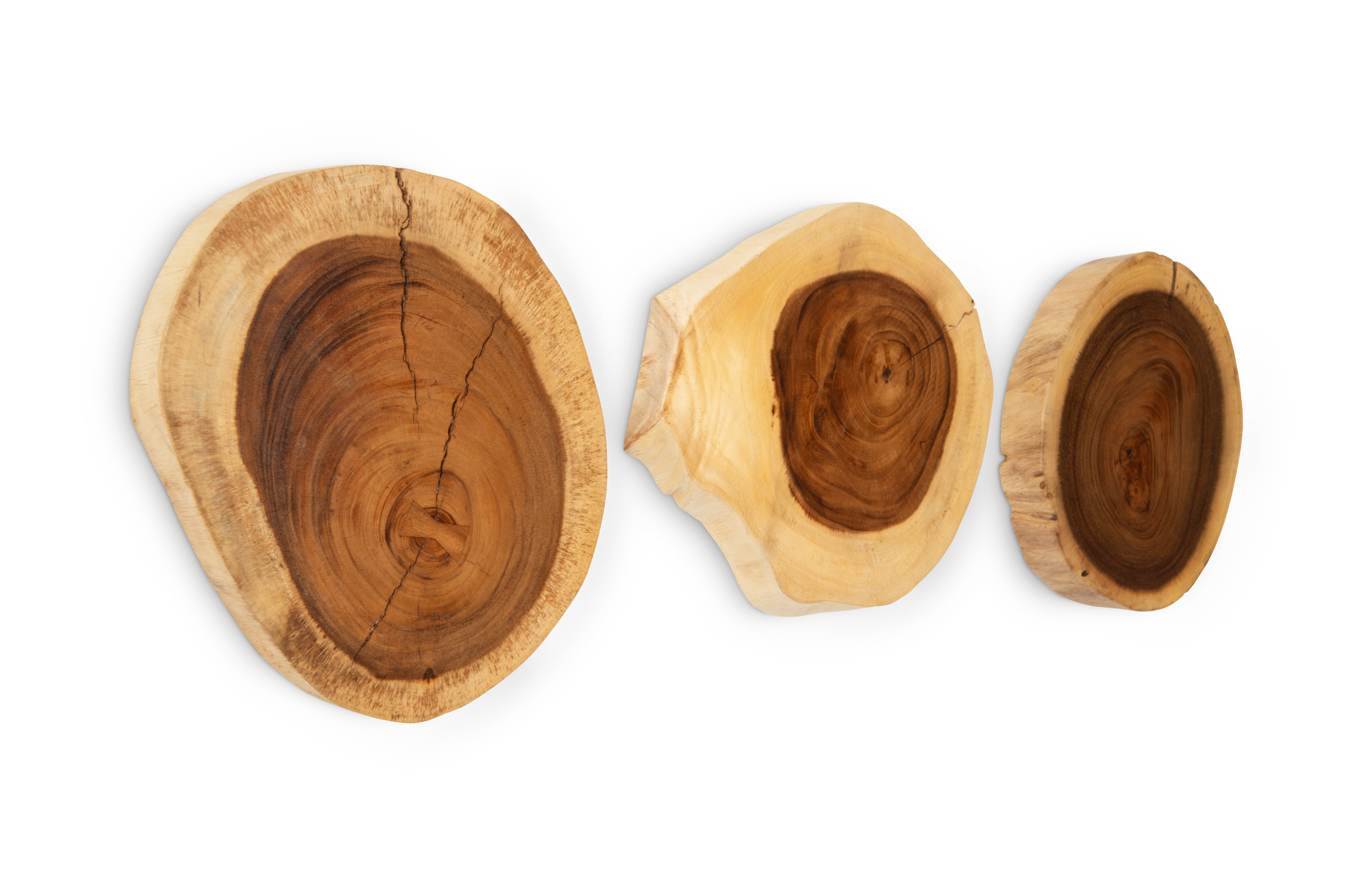 Phillips Collection Chuleta 3 Piece Wall Décor Set | Perigold