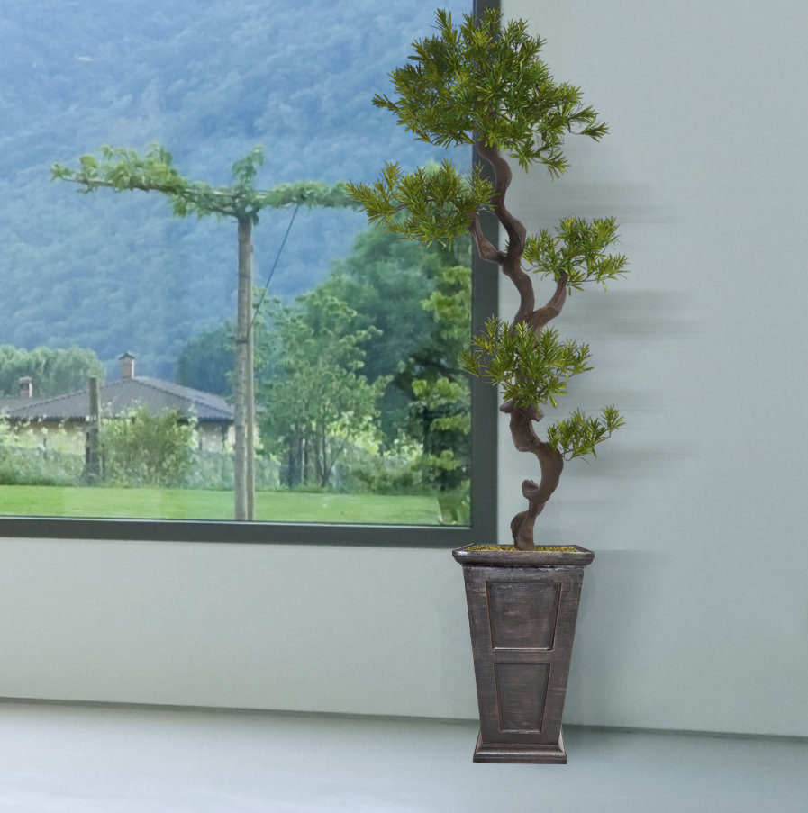 Laura Ashley Panama Tall Floor Yacca Tree in Planter & Reviews | Wayfair