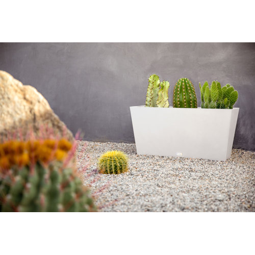 Veradek Planters You'll Love | Wayfair