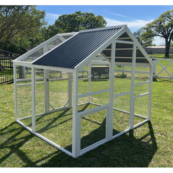 Zylina Modern Universal Poultry Pen - Medium | Wayfair