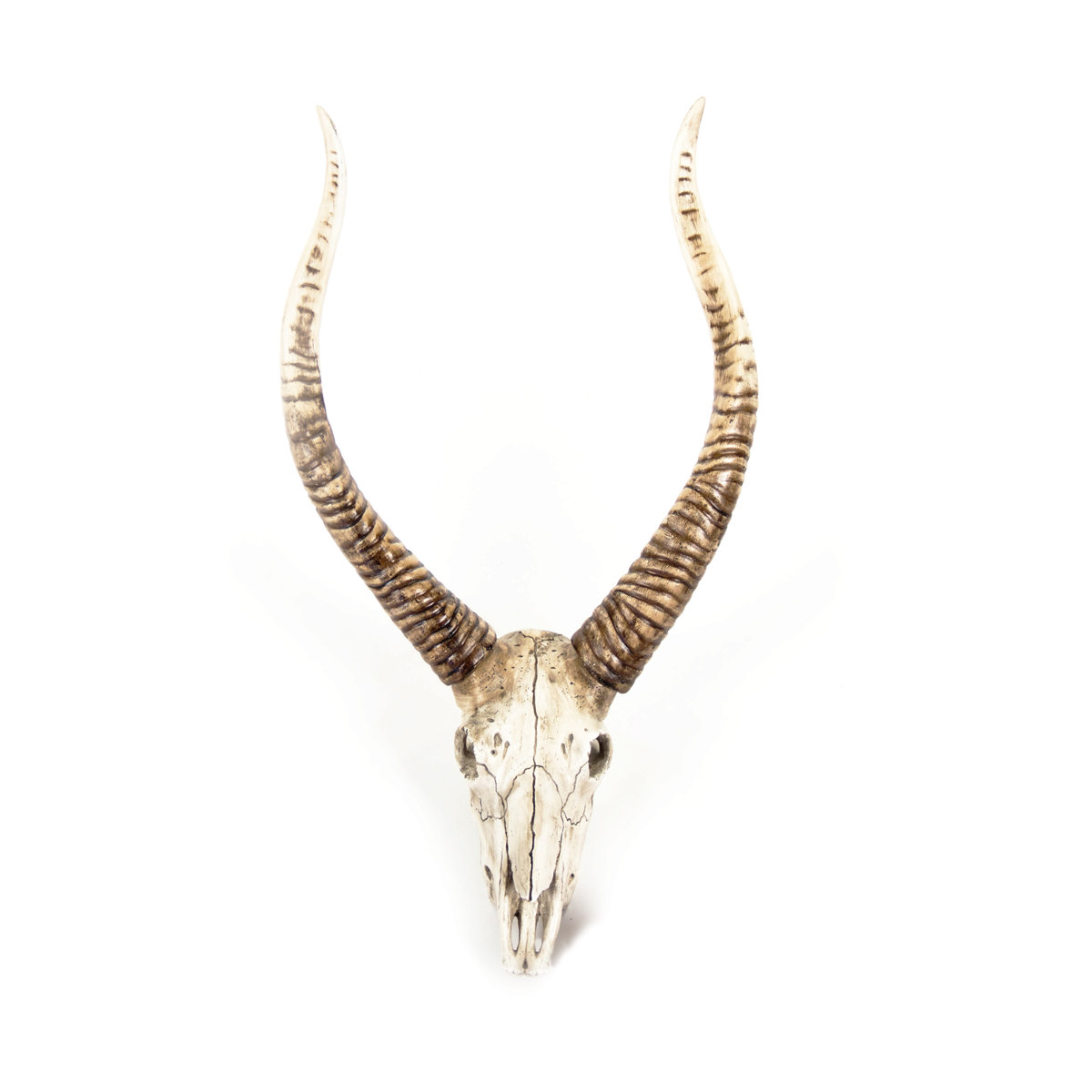 Zentique Goat Skull Wall Décor & Reviews | Wayfair