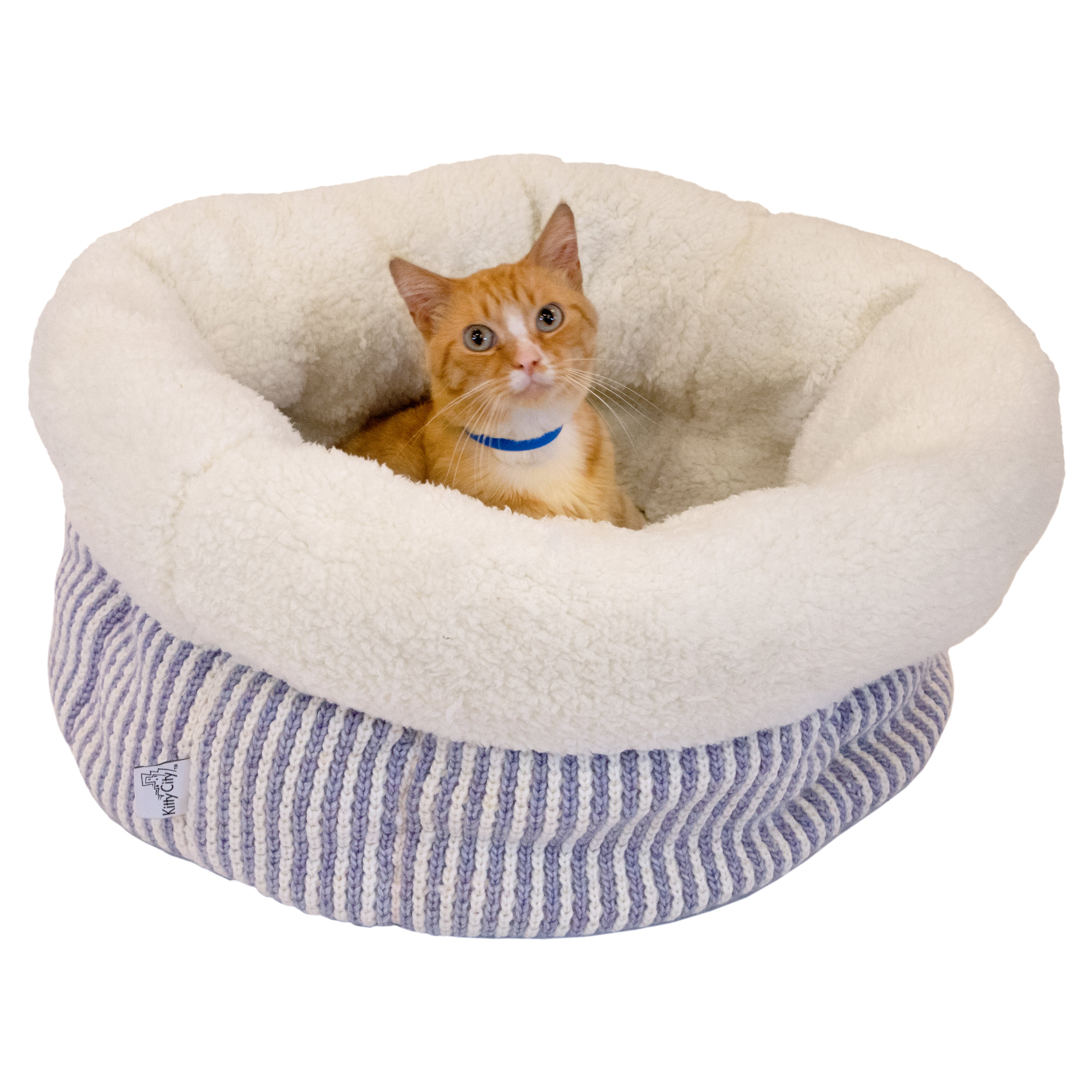 Kitty City Deep Dish Donut Bed - Wayfair Canada