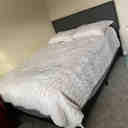 Latitude Run® Dewane Tufted Low Profile Platform Bed & Reviews | Wayfair