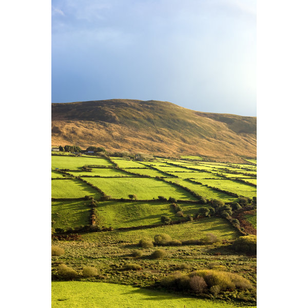 Marlow Home Co. Dingle Peninsula In Ireland by AIMSTOCK - Print ...