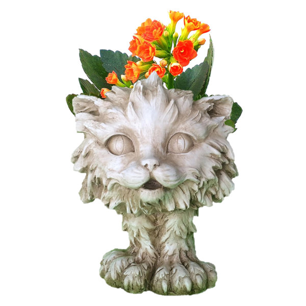 HomeStyles Muggly's Scruffy the Cat Animal Statue & Reviews | Wayfair