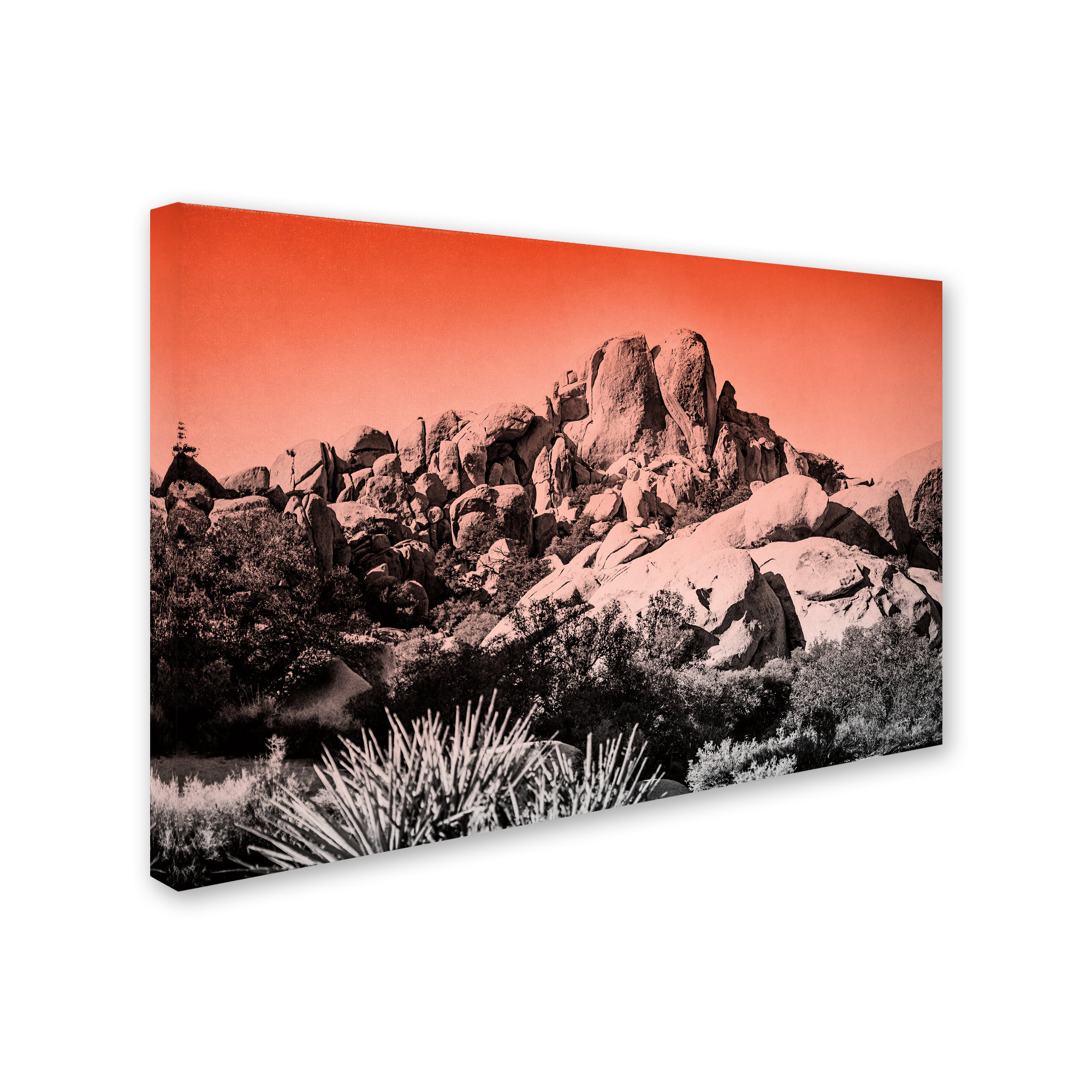 Trademark Fine Art 'Ombre Adventure II' Photographic Print on Wrapped ...