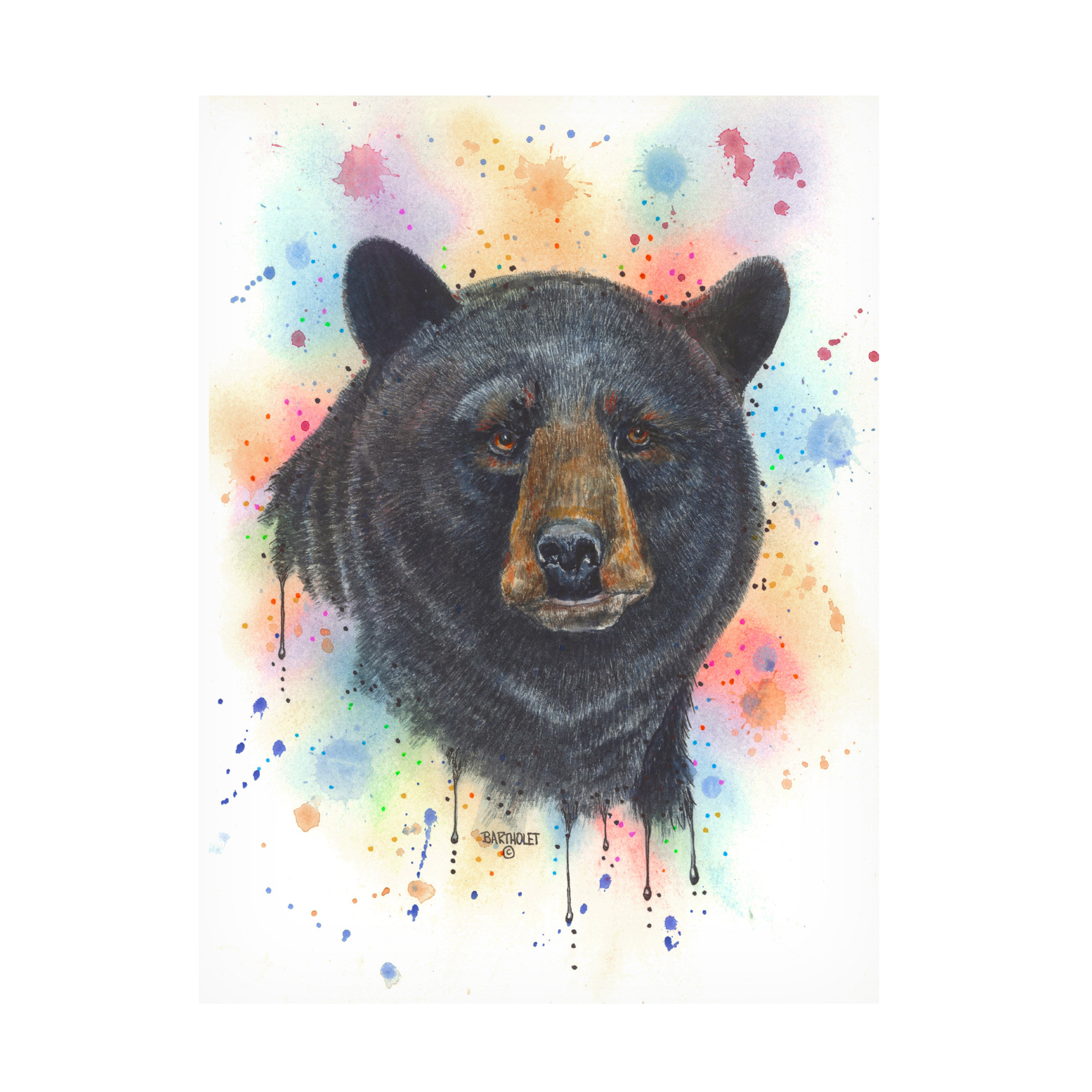 Winston Porter Dave Bartholet Black Bear Portrait Canvas Art | Wayfair