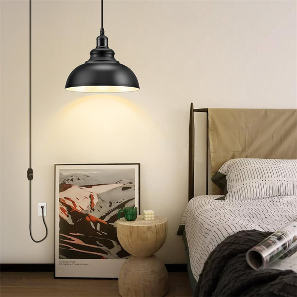 Longshore Tides Plug In Hanging Lights With 12.86Ft Cord And On/Off ...