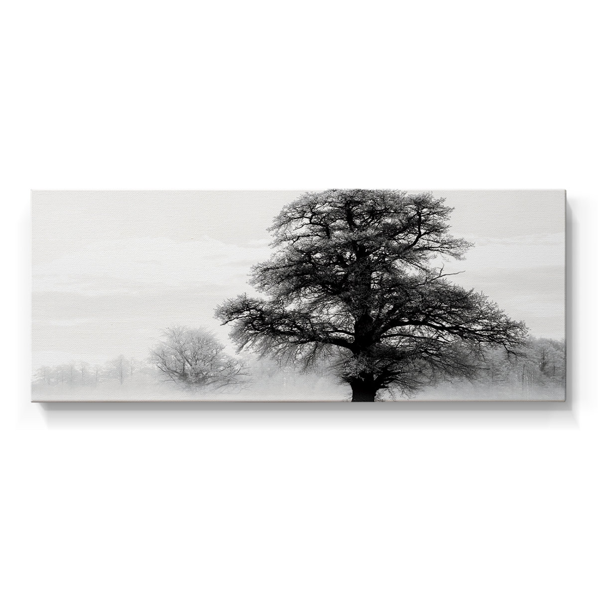 Winston Porter Inky Trees- Gallery Wrapped Canvas -Ready to Hang | Wayfair