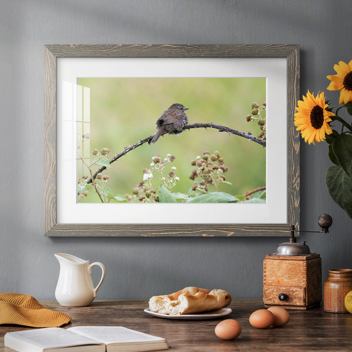 Latitude Run® Resting Sparrow Framed On Paper Print | Wayfair