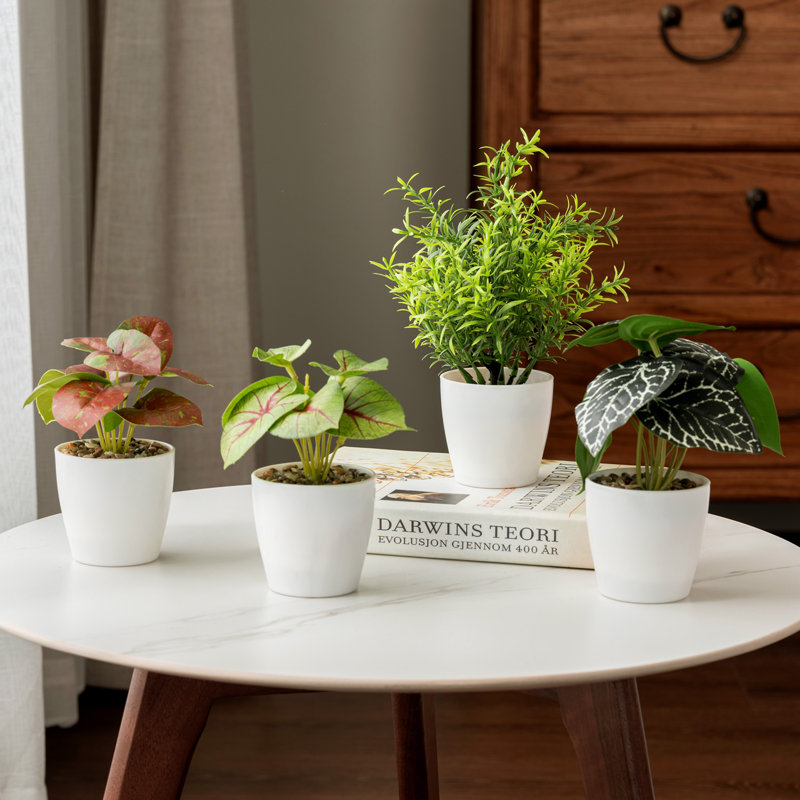 Primrue 4 Piece Fuax Fake Mini Foliage Artificial Plants White Pot ...