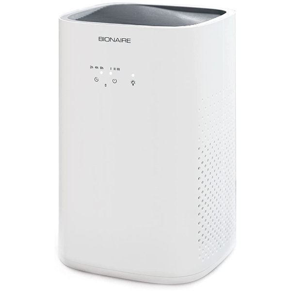 Sunbeam Air Purifier with HEPA filter - Wayfair Canada
