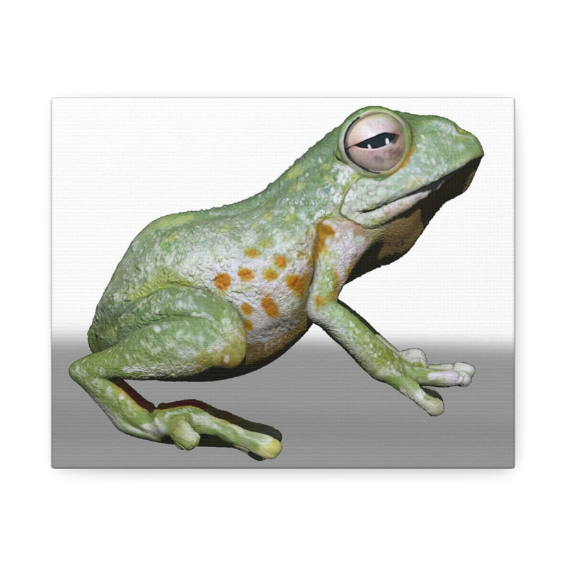 Latitude Run® Frog Stretched - Unframed Illustration on Canvas | Wayfair