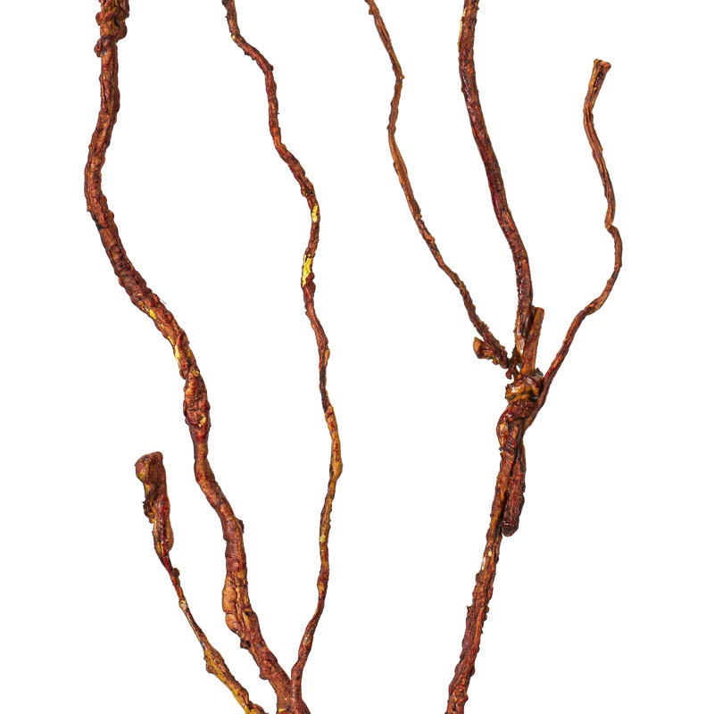Primrue 63" Twig Branch & Reviews | Wayfair