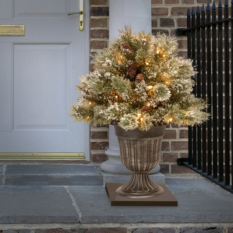The Holiday Aisle® 24" Glittery Bristle Pine Porch Bush with Twinkly ...