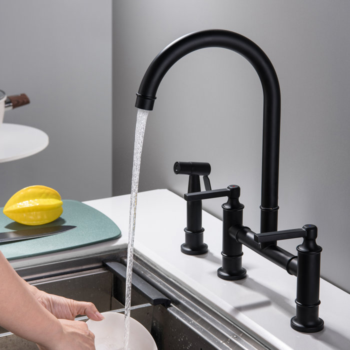 Selected Bridge Double Handles Kitchen Faucet With Side Spray & Reviews ...