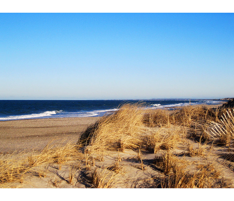 Buy Art For Less Cape Cod Beach On Canvas by Joseph Condon Print | Wayfair