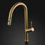 Maestro Bath Palm Pull Out Single Handle Kitchen Faucet | Perigold