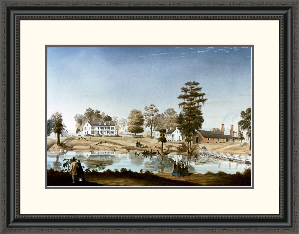 Global Gallery 'Oliver Plantation' by Marie Adrien Persac Framed ...