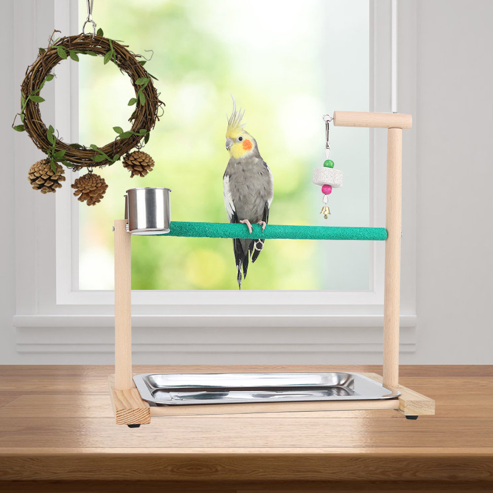 UMMA, LLC 12.6'' Bird Play Stand for Table Top | Wayfair