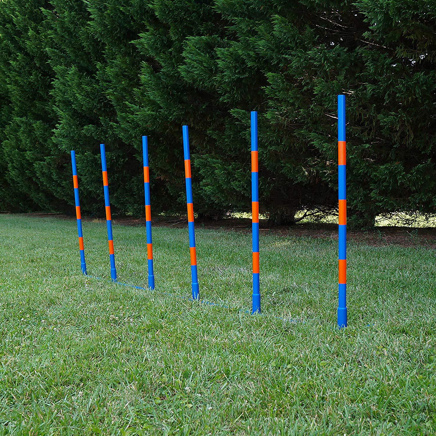 Lord Anson Dog Agility Weave Poles - Competition Grade Adjustable ...