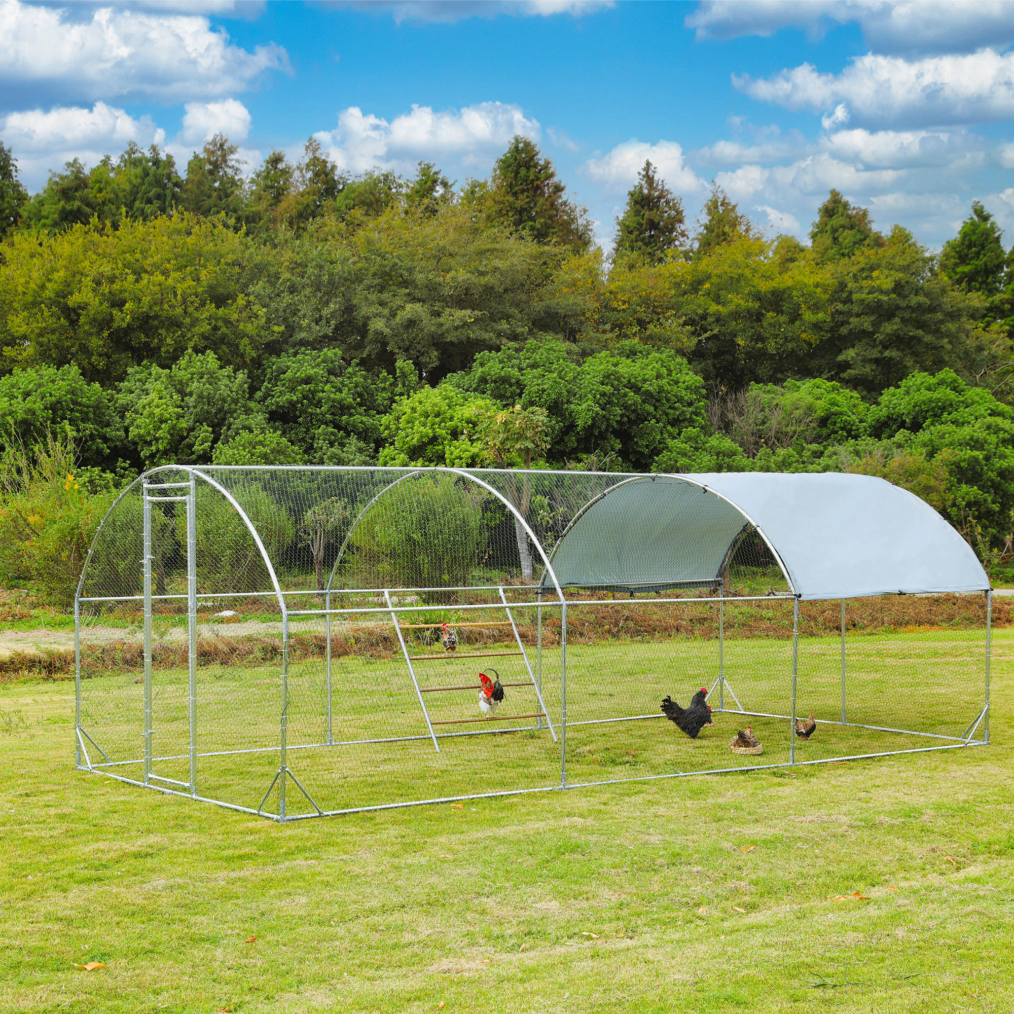 Betterhood Large Metal Chicken Coop With Ladder 9'W X 19'L X 6.5'H ...