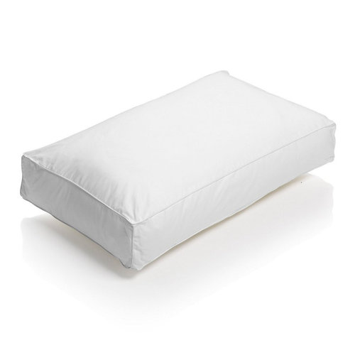 Symple Stuff Cotton Square Edge Box Pillow & Reviews | Wayfair.co.uk