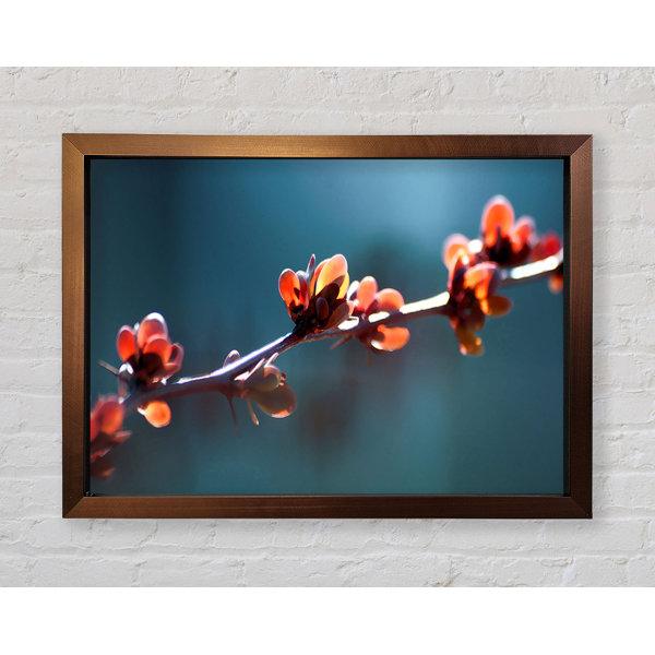 Bright Star Spikey Flower Branch - Single Picture Frame Print | Wayfair ...