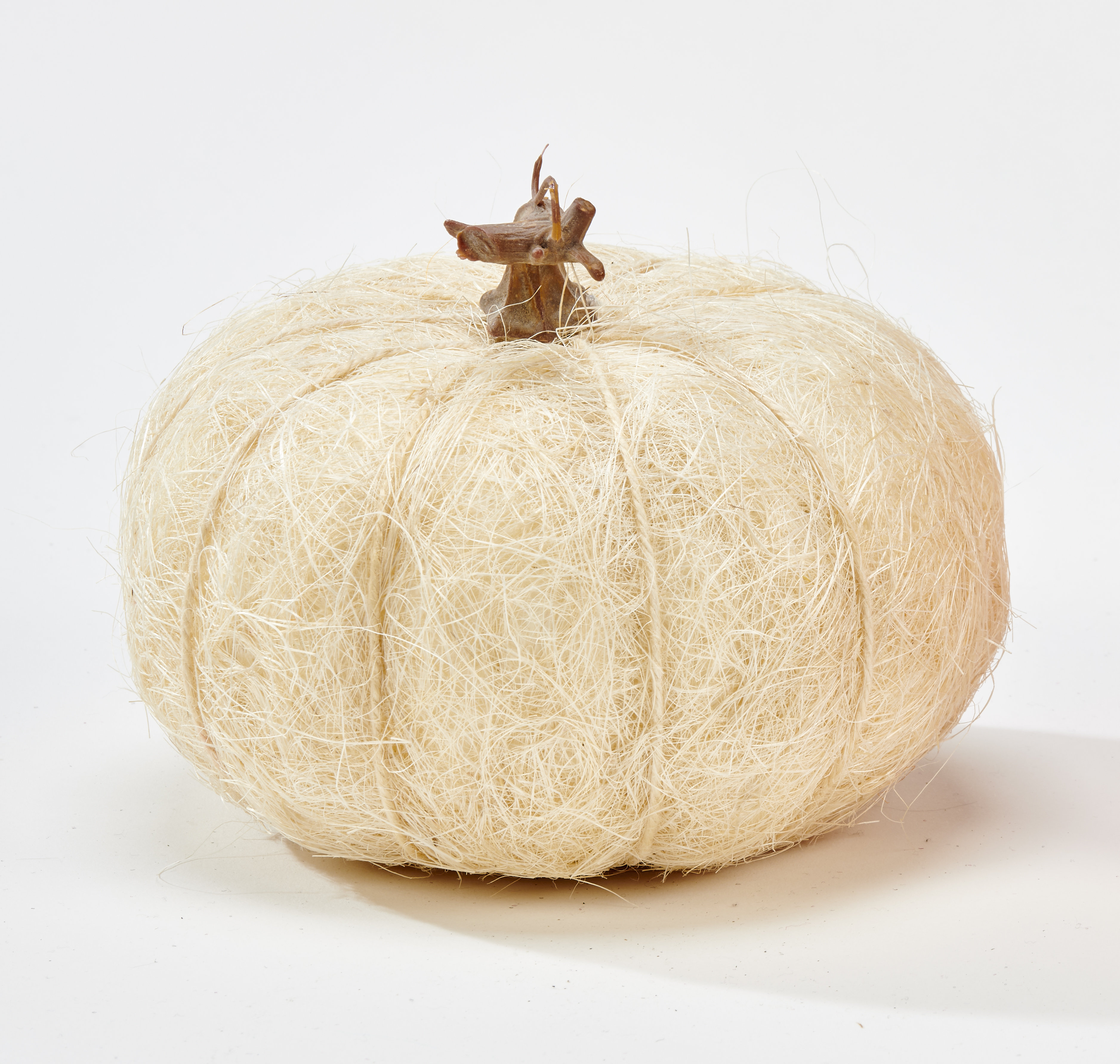 The Holiday Aisle® 8" Coco Tabletop Pumpkin Bleach | Wayfair