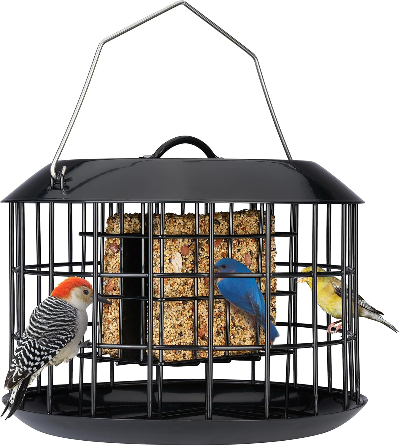 17 Stories Squirrel Proof Suet Feeder, Cage Bird Feeders For Outdoors ...