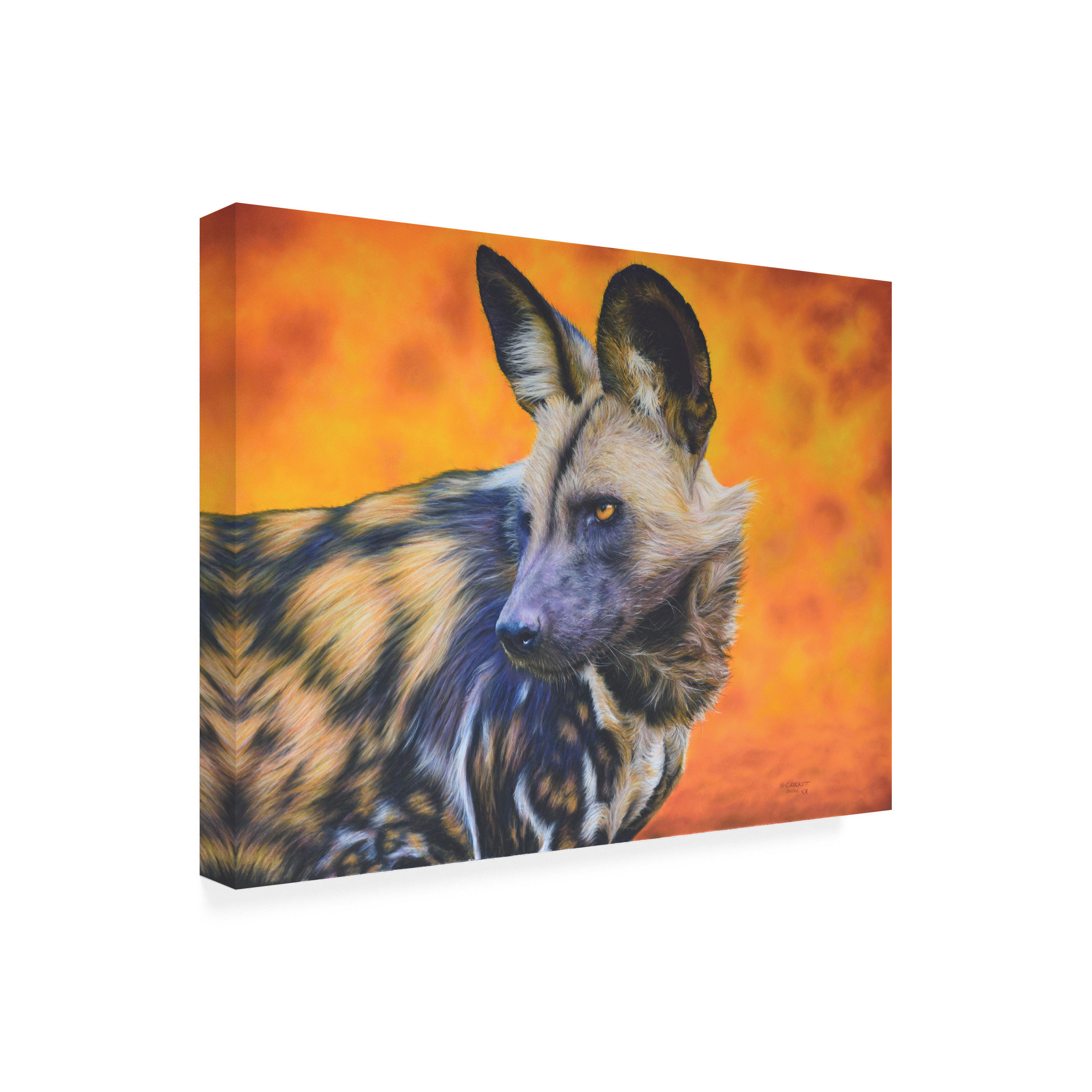 Millwood Pines African Wild Dog On Canvas by Steve Crockett Canvas Art ...