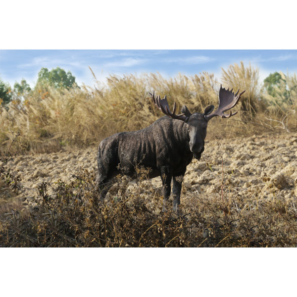 Hi-Line Gift Ltd. Standing Moose Statue | Wayfair