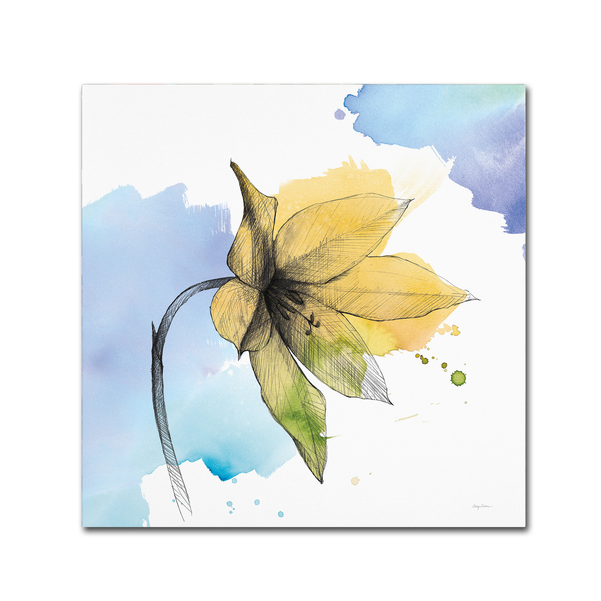 Winston Porter 'Watercolor Graphite Flower VIII' Print on Wrapped ...