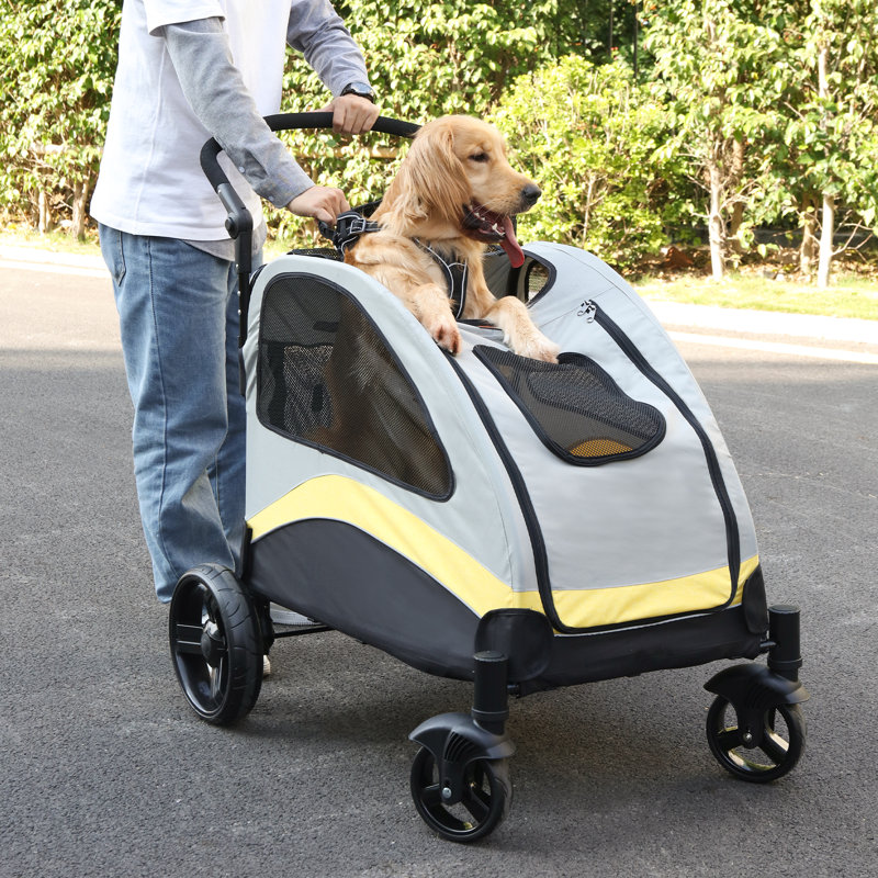BingoPaw Folding Standard Stroller & Reviews | Wayfair