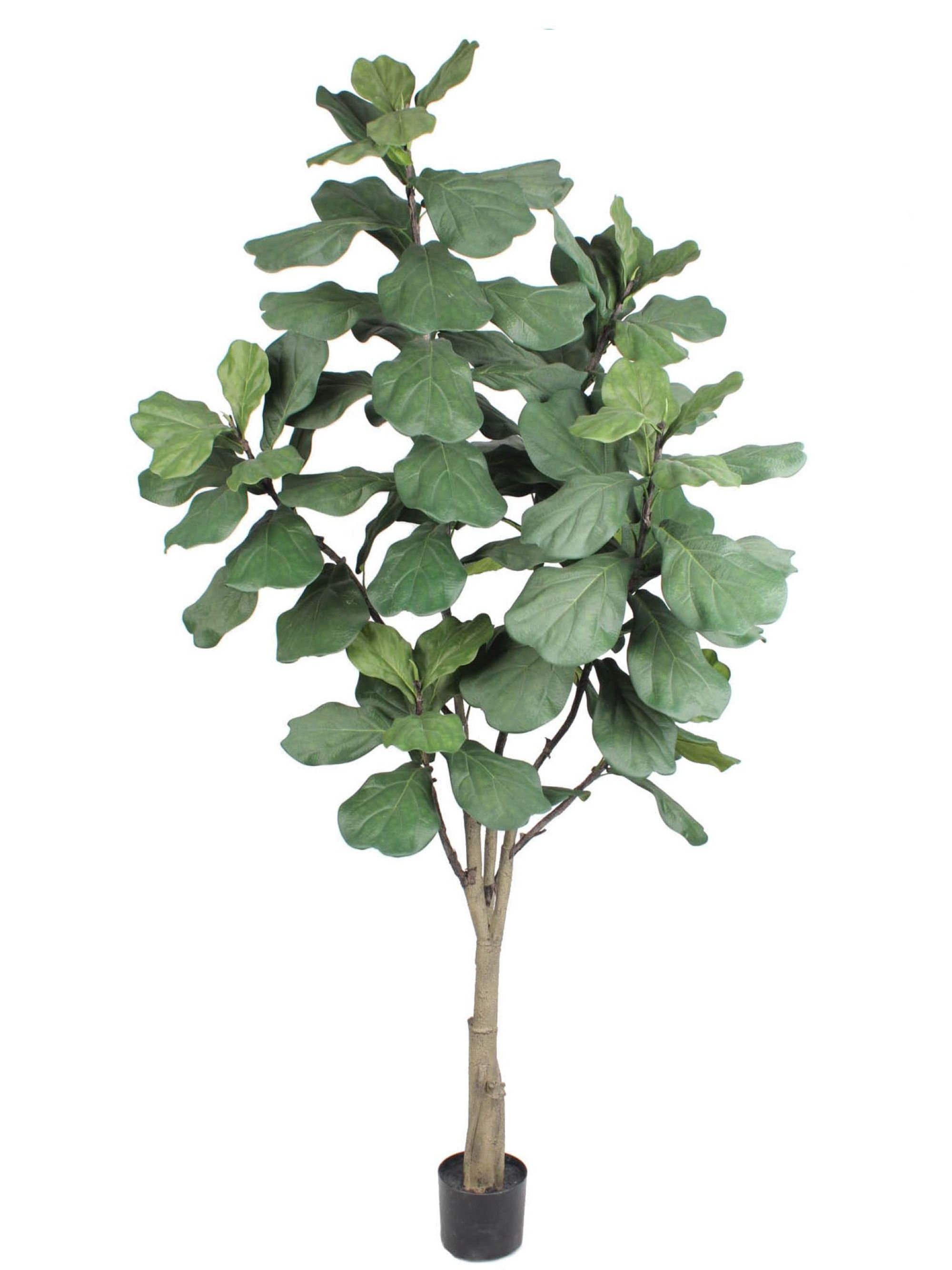 Hokku Designs 3-pack Luxurious 7ft Fiddle Leaf Fig – Realistic ...