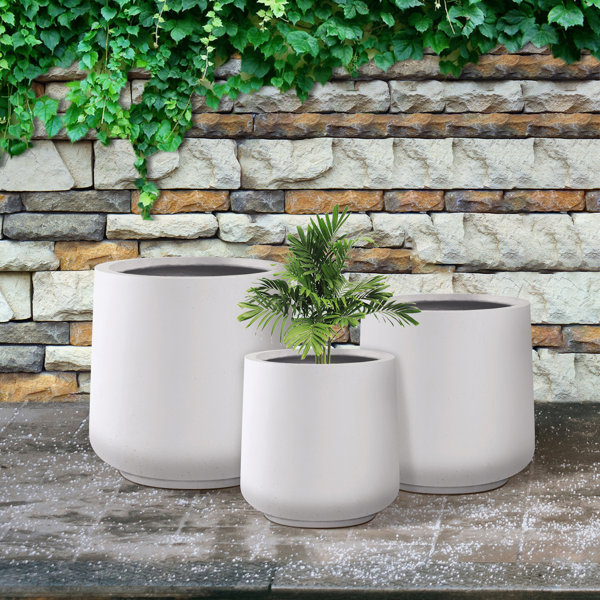 AllModern Tali 3 Piece Round Concrete Planter, Outdoor Indoor Large ...