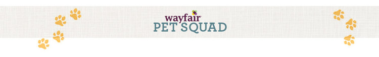 Meet Good Boy Bear | Wayfair