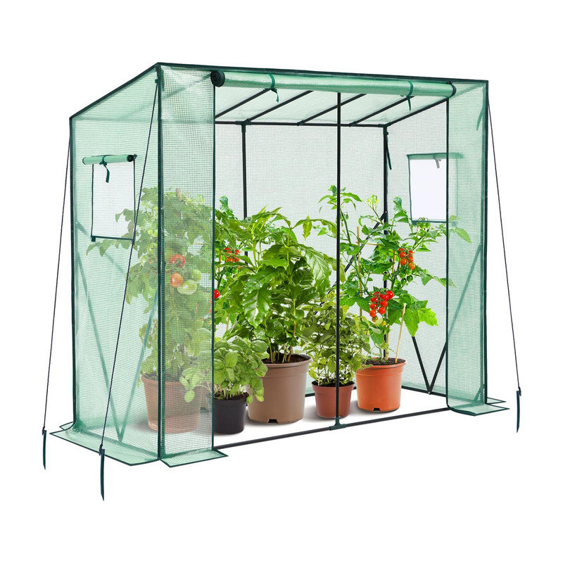 IDIABA Greenhouse for Outdoors: Portable Tomato Green House with Roll ...